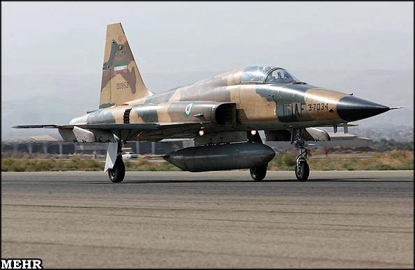 World Military and Police Forces: Iran