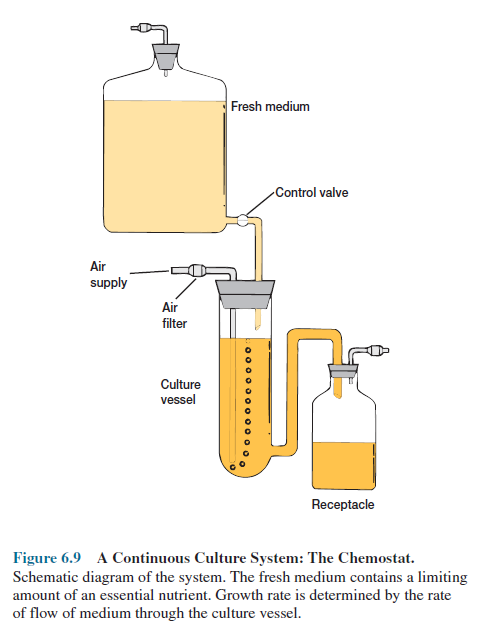 Microbiology Notes: Microbial Growth : Bacterial Growth Curve