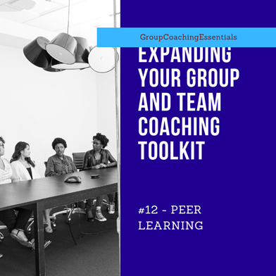 Group Coaching: Ins and Outs: Expanding your Group and Team Coacing ...