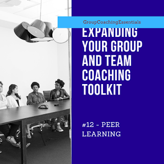 Group Coaching: Ins and Outs: Expanding your Group and Team Coacing ...