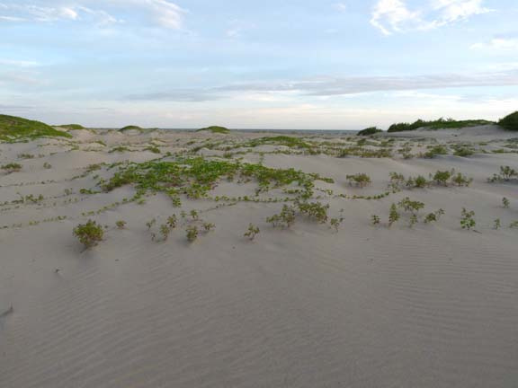 AMAZING BANGLADESH: SONADIA ISLAND