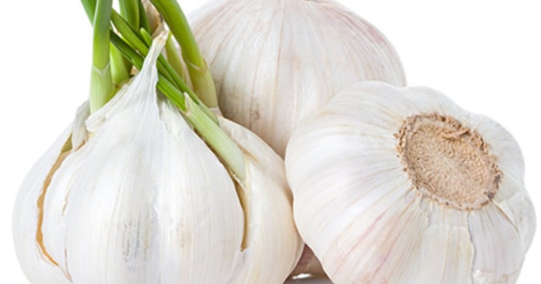 Garlic - Health benefits, application, chemical constituents, side ...