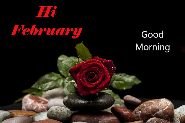 Top 10 Good Morning Hello February Images greating Pictures,Photos for ...