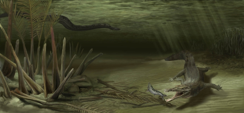 EL JOVE PALEONTÒLEG: L'evolució i la filogènia dels crocodilomorfs ...