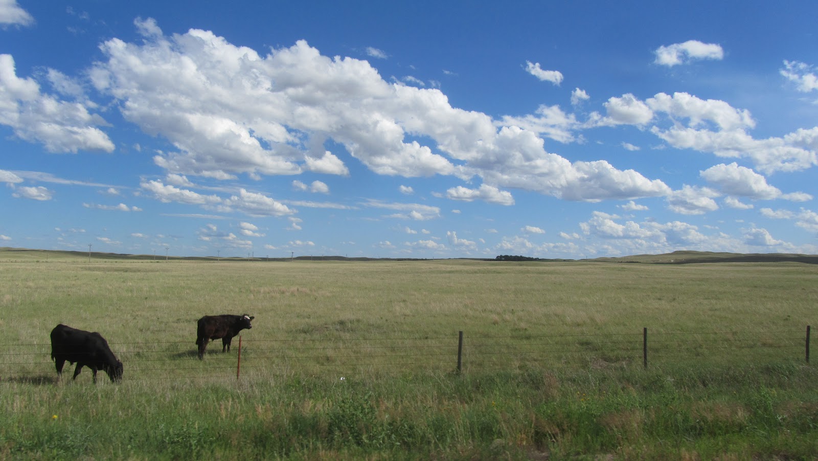 Exploring Southeast Asia and a roadtrip across the USA: Crossing the ...
