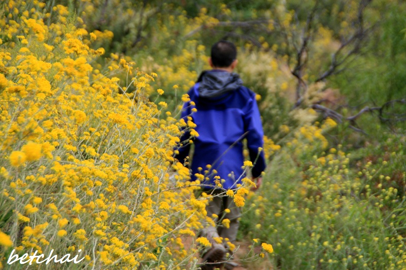 The Joys of Simple Life: Blue Sky Ecological Reserve to Lake Poway