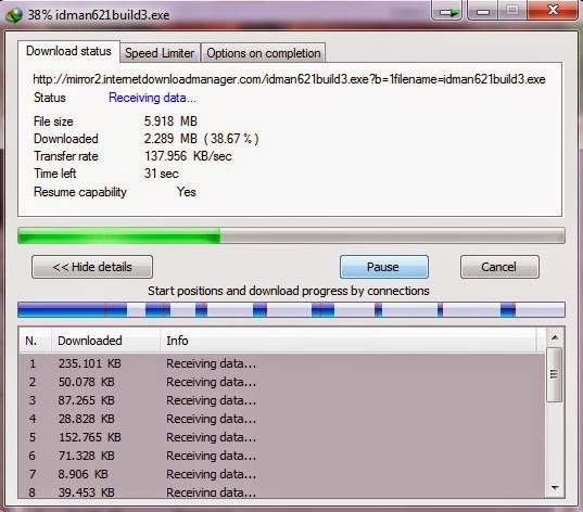 Internet download manager - kingsper