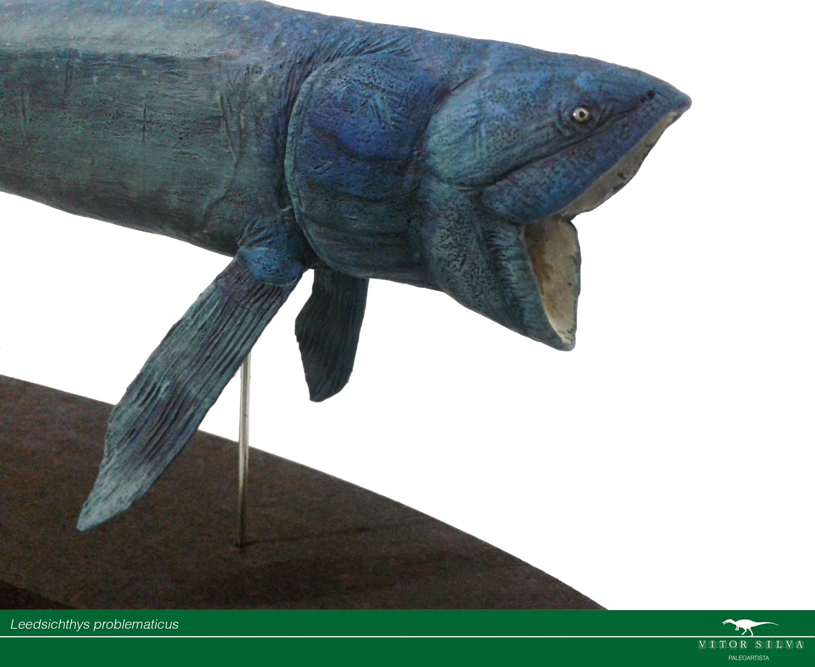Vitor Silva - Paleoartista: Leedsichthys