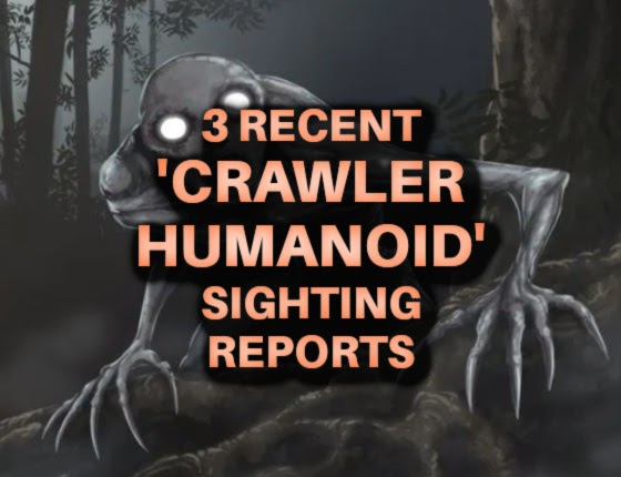 Phantoms and Monsters - Real Eyewitness Cryptid Encounter Reports