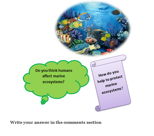 Science Blog : Marine ecosystems 1