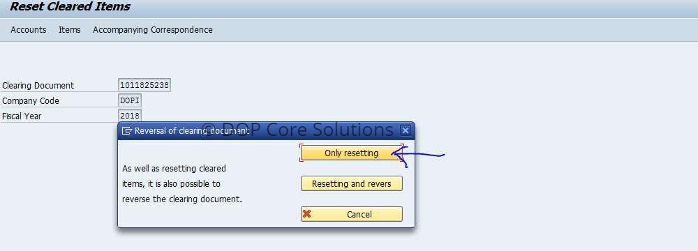 Process of Reversing the Clearing Document in SAP | DOP Core Solutions