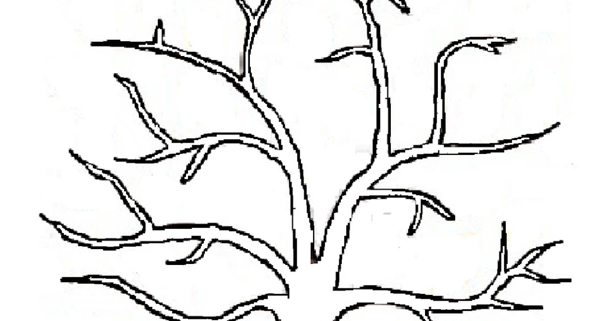 Fise de lucru - gradinita: COPACI de colorat pentru copii