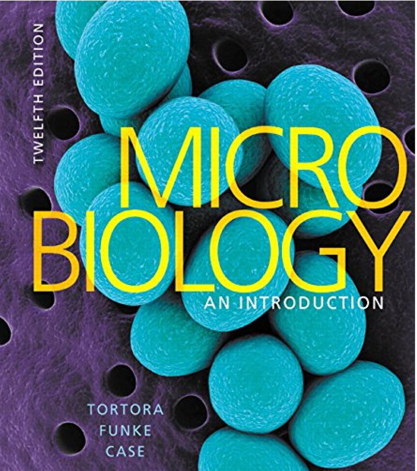 Microbiology: An Introduction 12th Edition – PDF – EBook - ebookrd.com