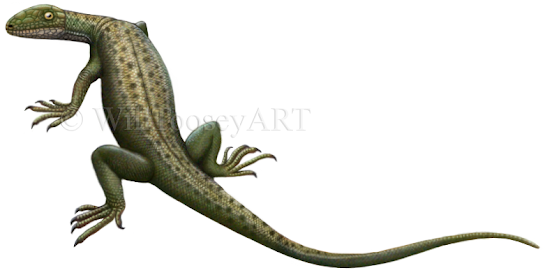 Palaeofauna: Earliest Stages of Diapsid Evolution - Part I ...