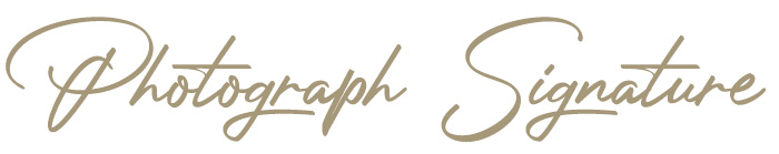 21 Free Masculine Fonts | i should be mopping the floor