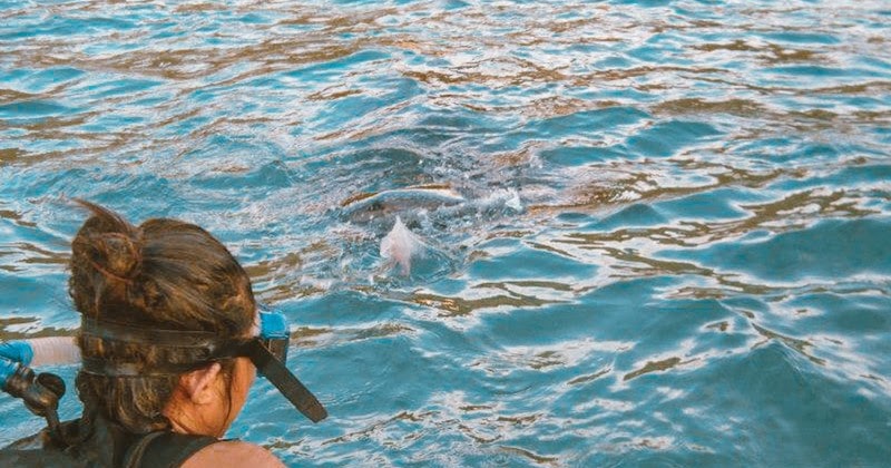 Whale Shark "Butanding" Crazy Experience | Tre Loves to Travel