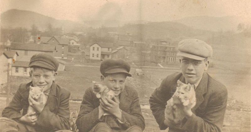 Lovely Snaps Capture People With Their Cats Over 100 Years Ago ...