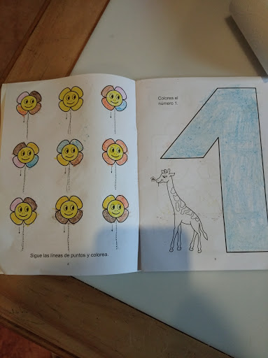 TRABAJANDO LOS NÚMEROS