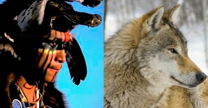 White Wolf : Tribes Stand Up Against "War On Wolves Act" Congress Bill
