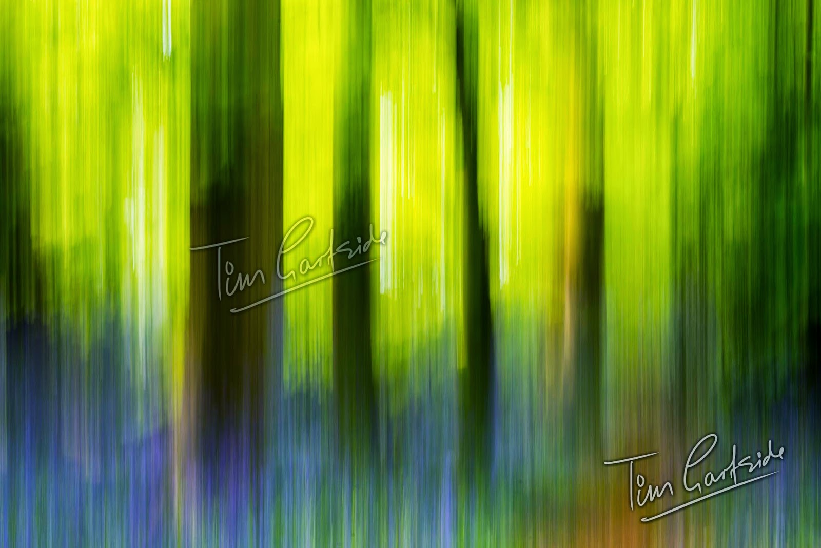 Tim Gartside Photography Workshop Blog