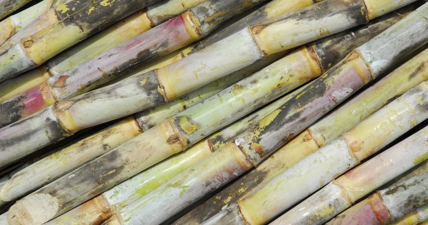 Agroindustria Azucarera: KARBE