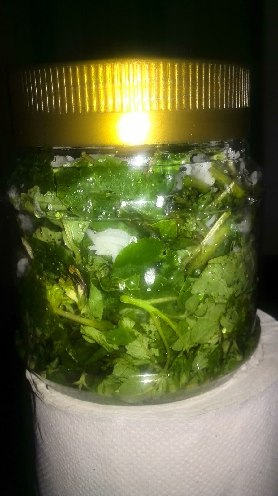 namakucella: CARA BUAT JERUK MAMAN & CARA MAKAN KERUK MAMAN