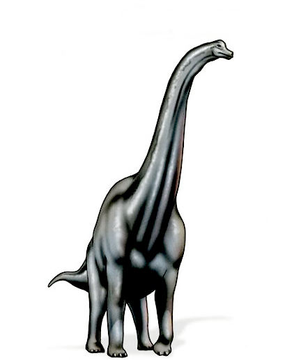 Los animales en la prehistoria: Animales prehistóricos con la letra C