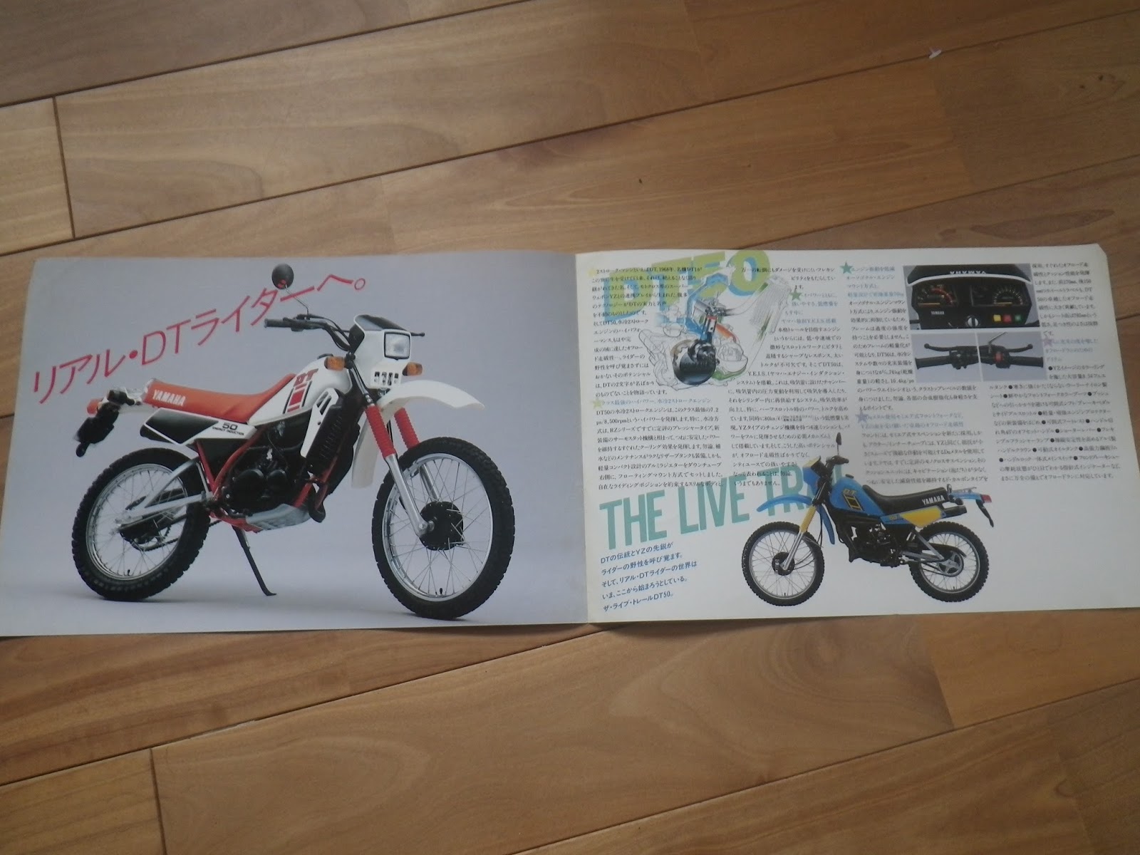 じゃっきいの・・・: DT50再生計画・・・はじまり？