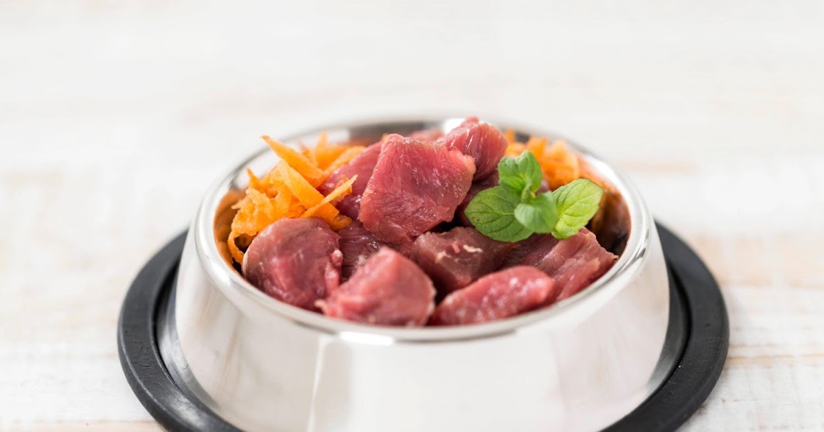 ¿Qué es la Dieta Barf?