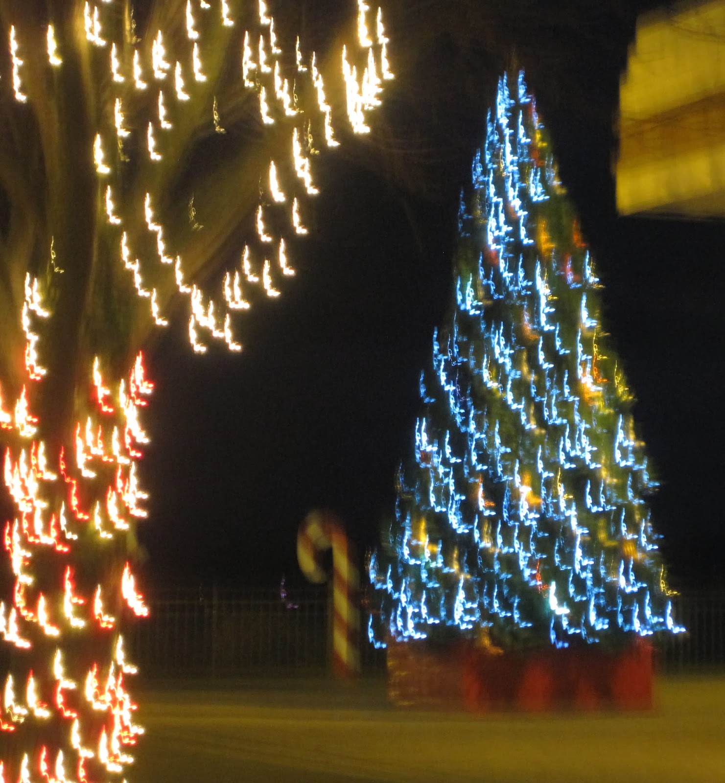 Scene Through My Eyes: Let's Have Some Fun with Christmas Lights