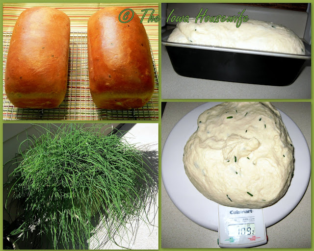 The Iowa Housewife: Bread Flour...Buttermilk Chive Bread