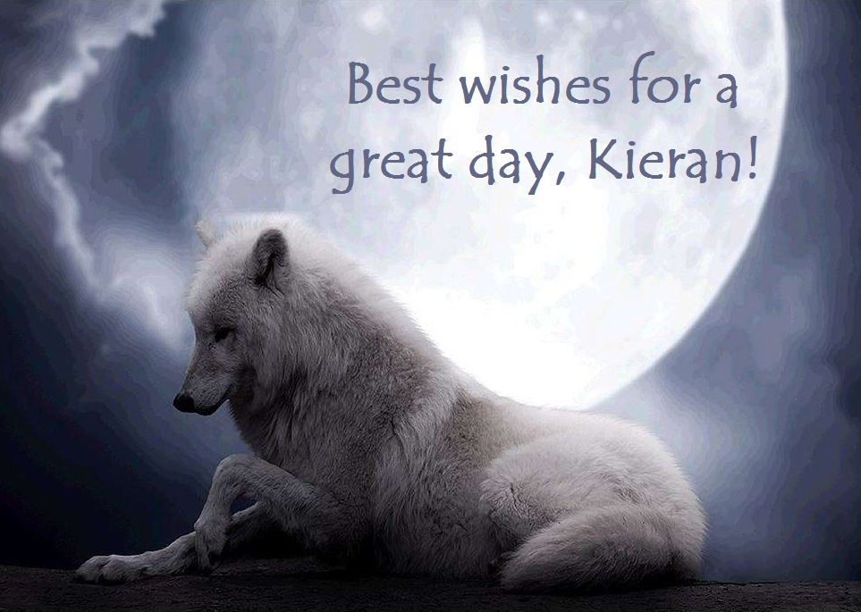 We Are FNB: Welcome to Hoof and Wolf Tuesday!