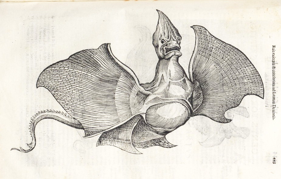 Black and White: Jenny Haniver