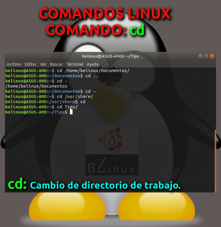 Ubuntu Linux: Recopilación Tips gráficos de comandos de Linux