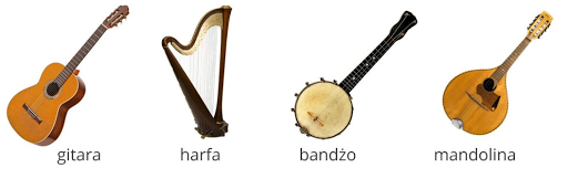 Nauka na odległość: Instrumenty strunowe szarpane