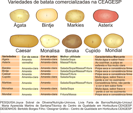 +batatas: tipos e descrições | um bom prato :) | Pinterest