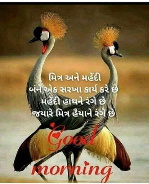 good morning shayari photo hd