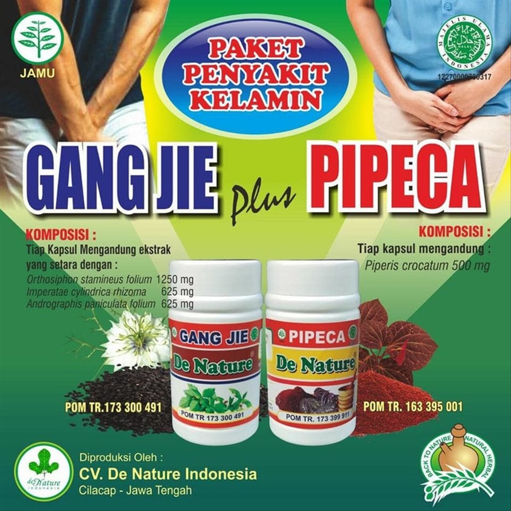 Garasi Herbal De Nature: apa obat alami sipilis