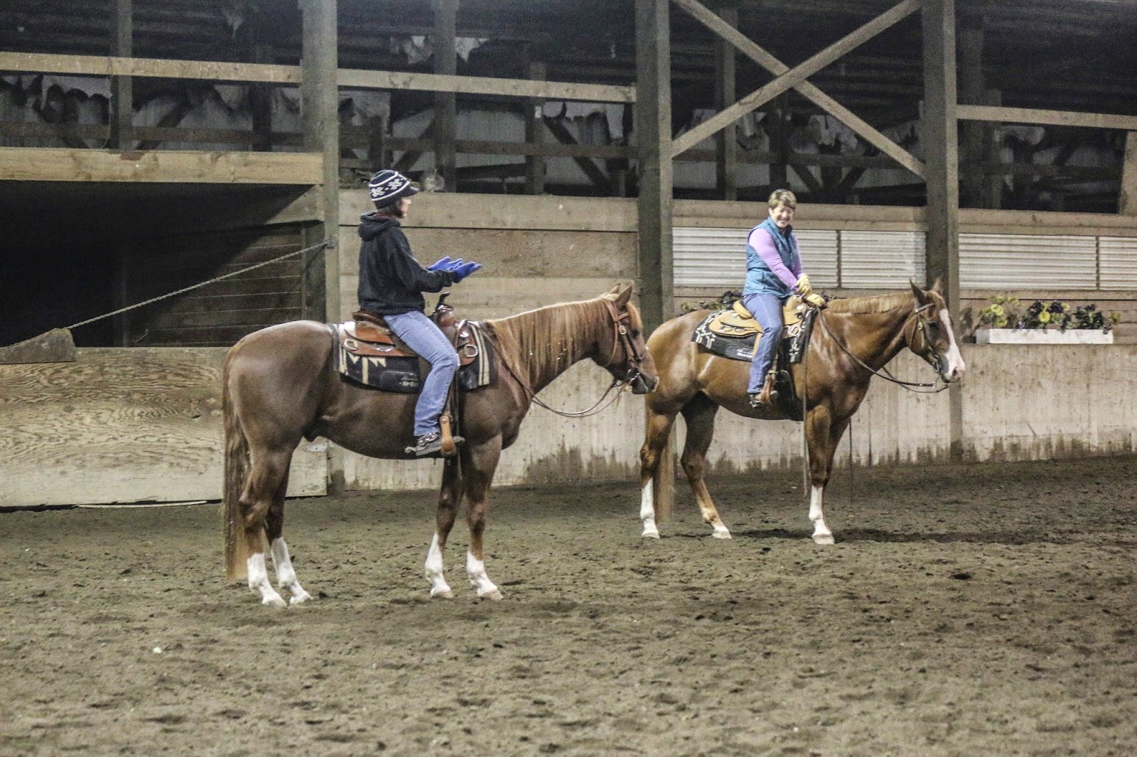 Another Day in Paradise: Riding lessons at Paradise Stables Riding Academy