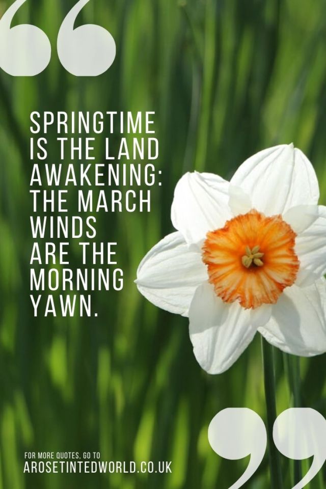 Top 50 Spring Quotes for Season with Image