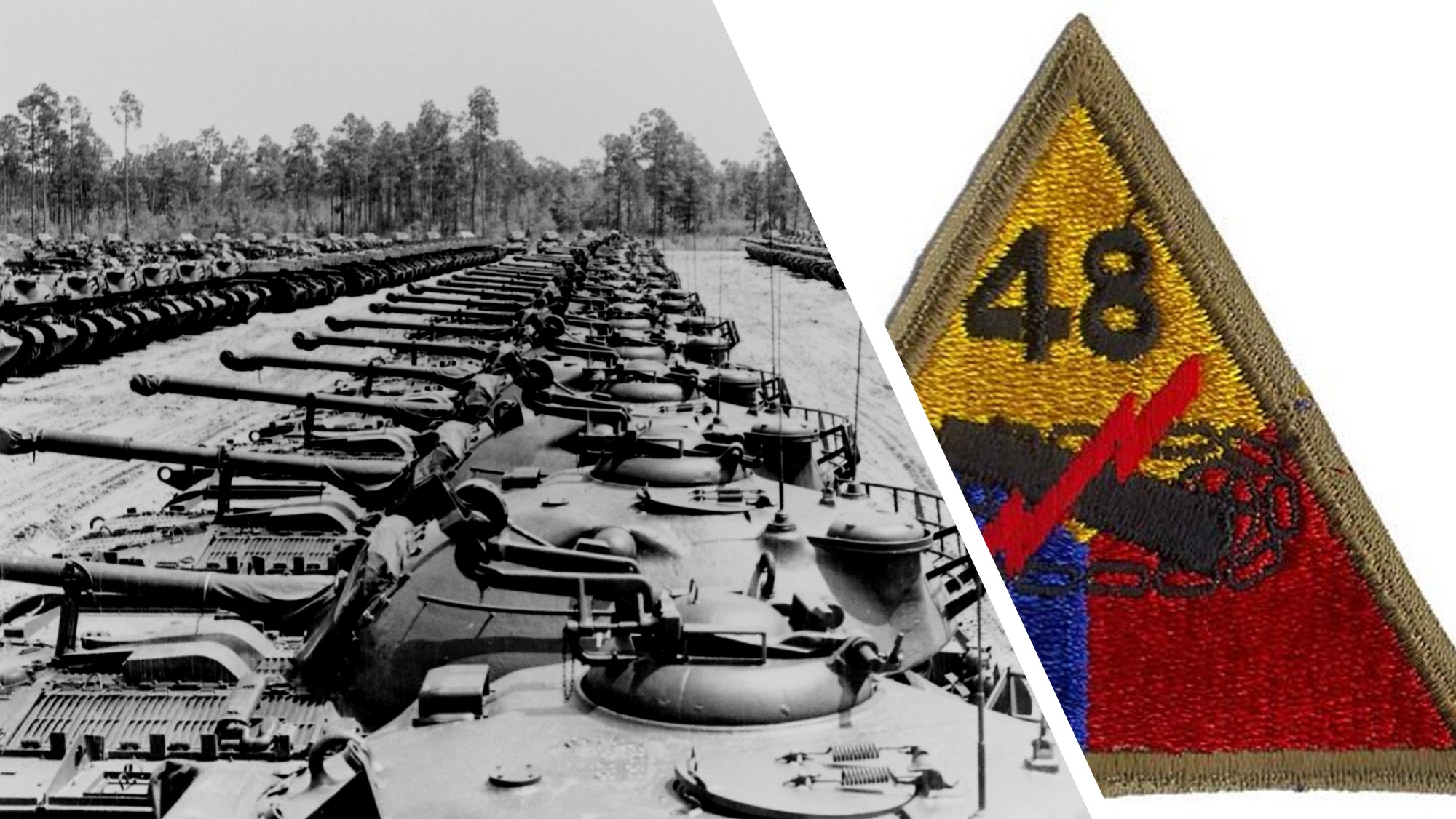 History of the Georgia National Guard: 2020