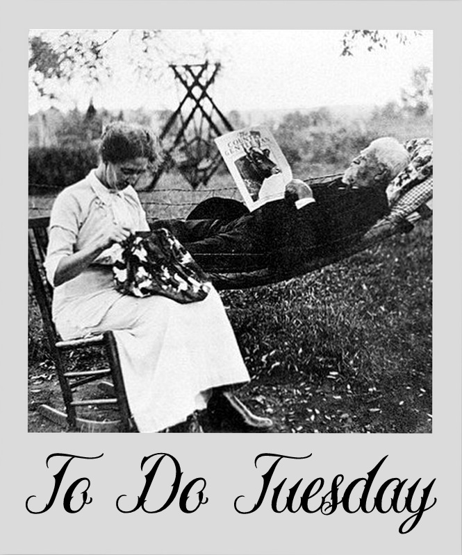 Texas Quilt Gal To Do Tuesday texas-quilt-gal-to-do-tuesday