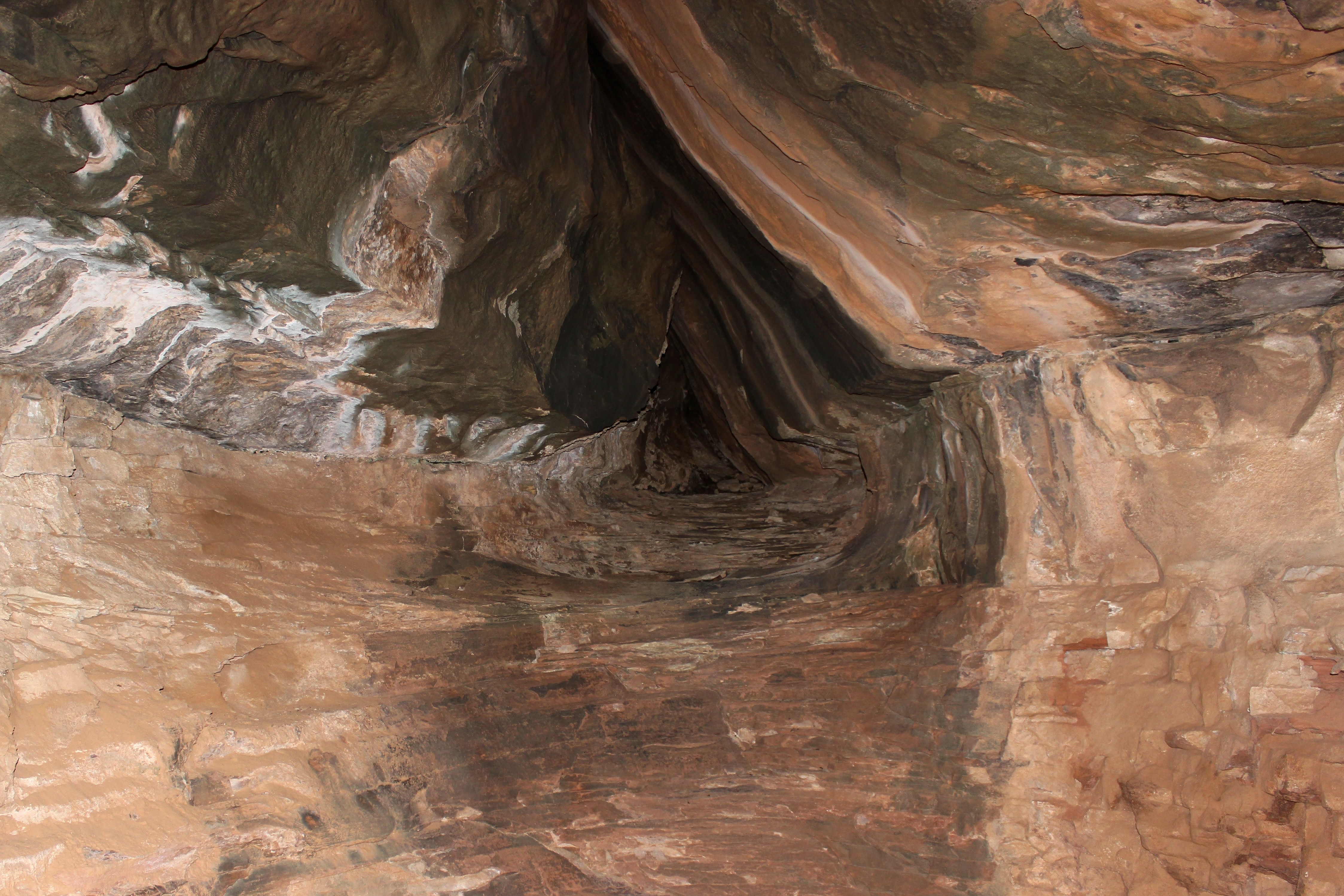 To Behold the Beauty: Canyonlands Needles District: Cave Spring Trail