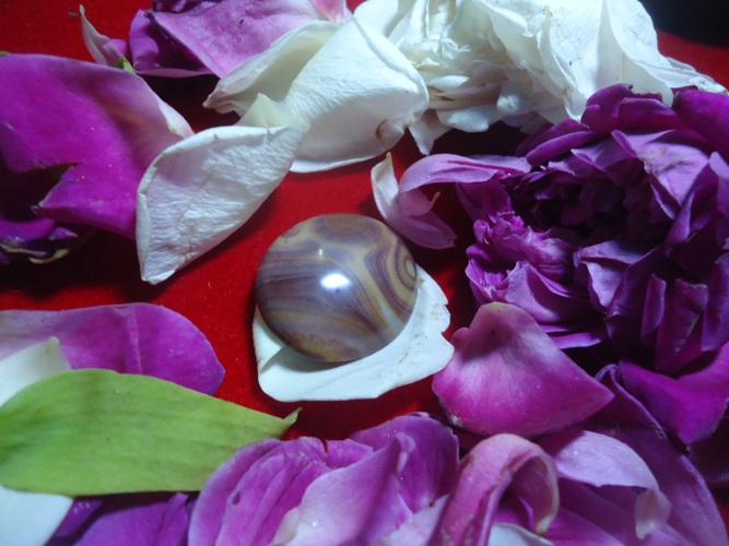 Di Maharkan Mustika Bayu Maruto - Padepokan Mustika Sakti