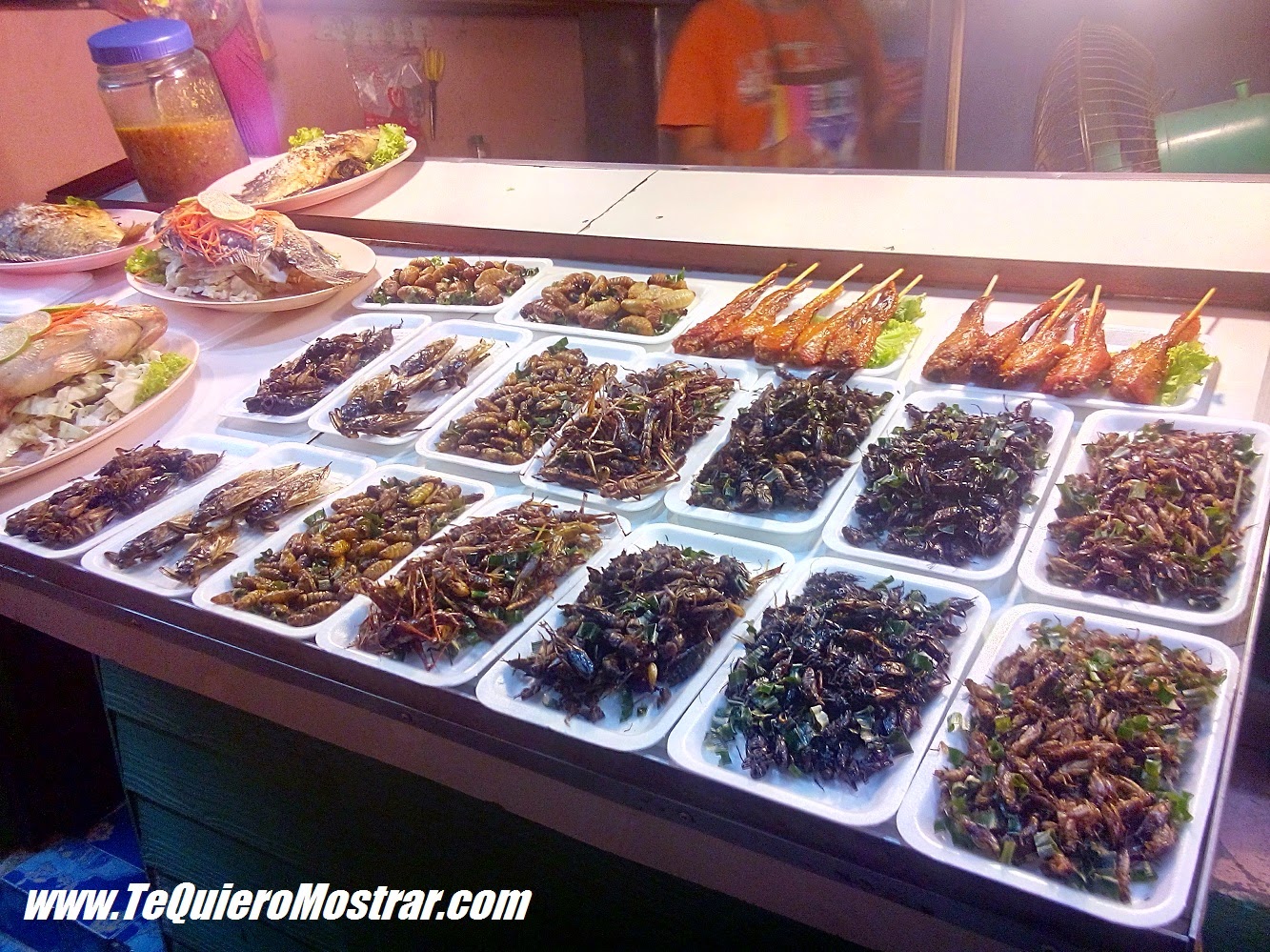 ¿Te atreves a probar estas comidas exóticas? - Te Quiero Mostrar