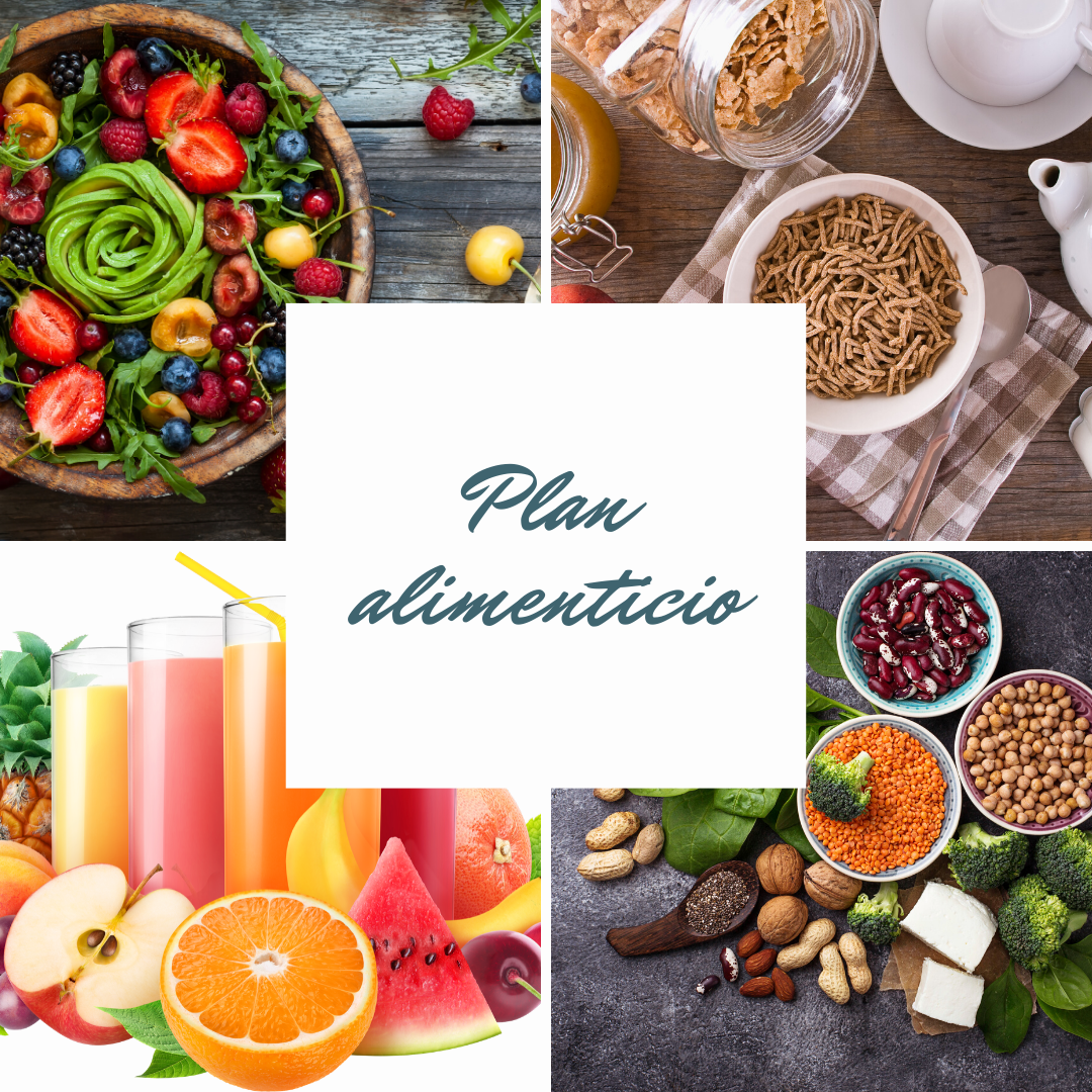 PLAN ALIMENTICIO