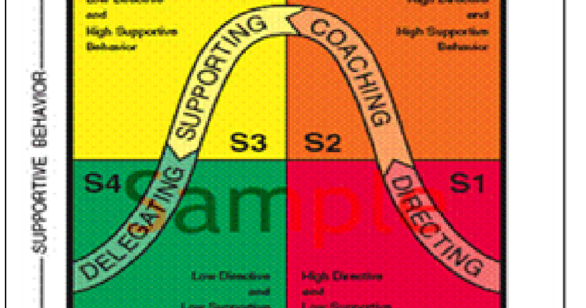 Every day with dan...: Situational leadership