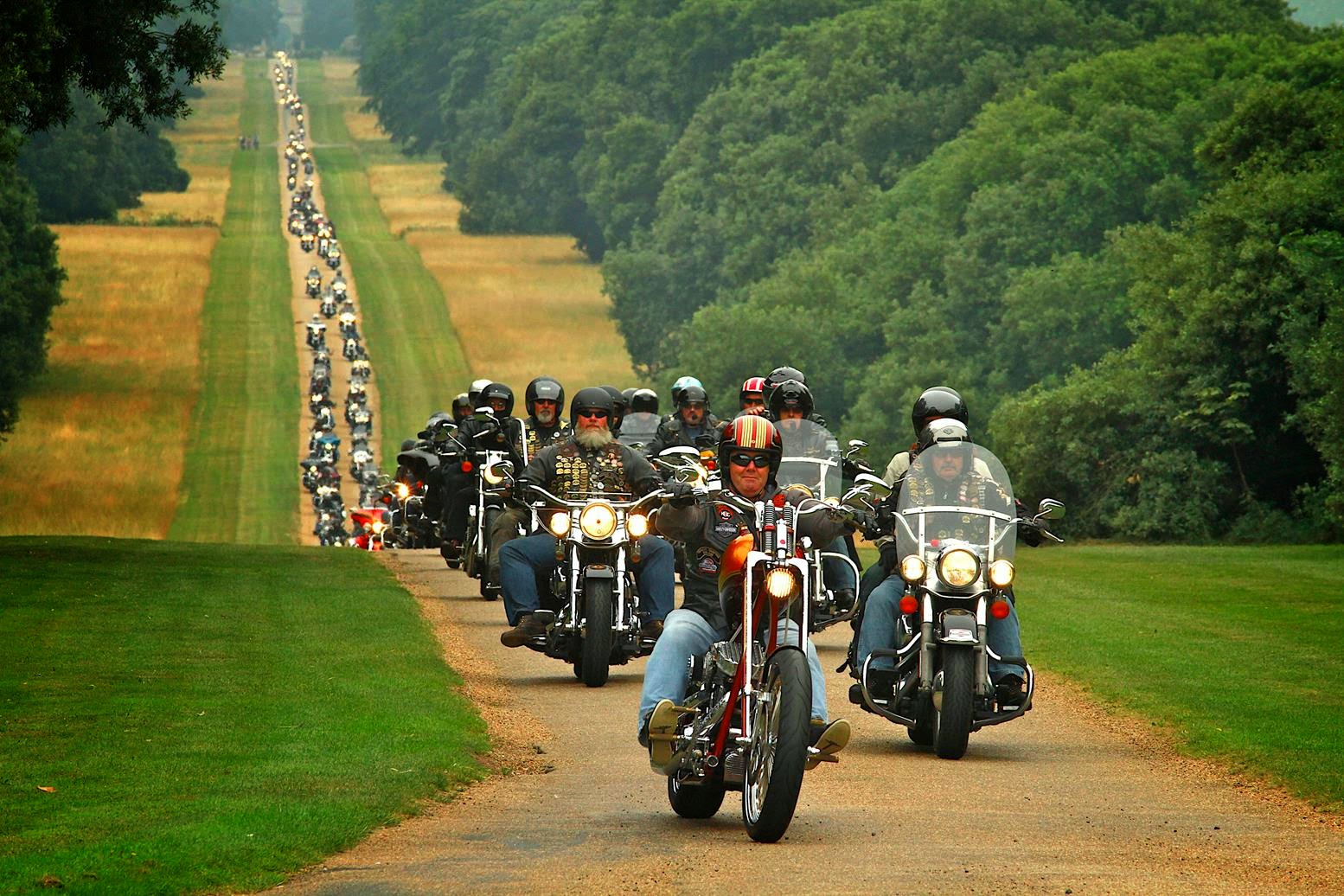 Flies in your Teeth: Can You Go Touring on a Chopper?