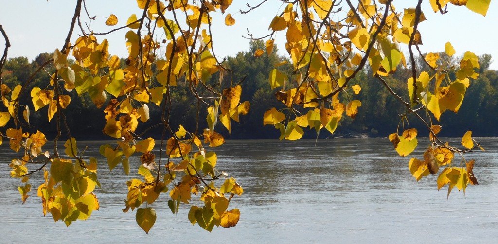 The Opulent Opossum: Marideth Sisco: She Seems Like an Old Friend