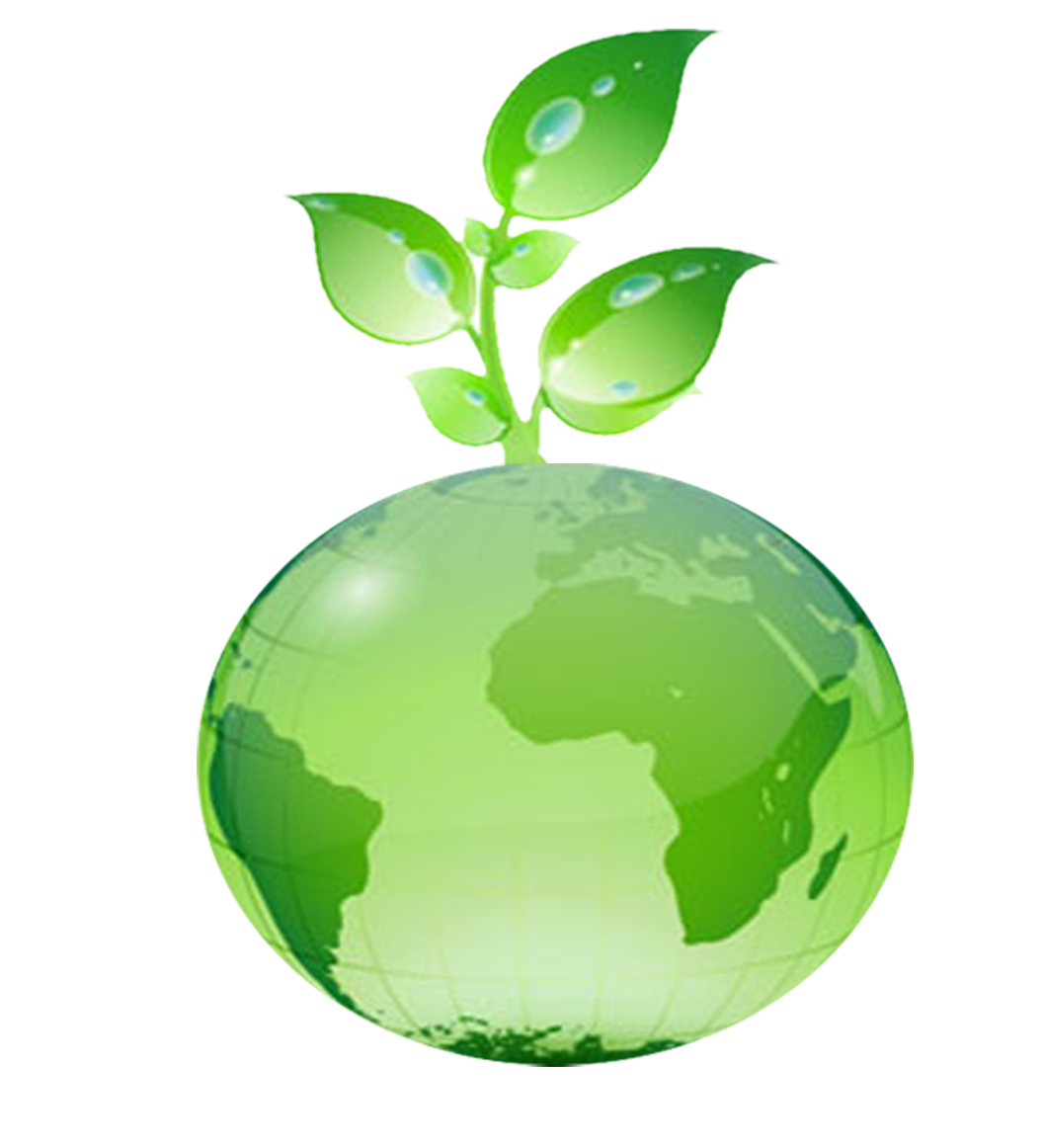 GO GREEN 14: Un nou proiect începe azi cu mulţi prieteni iubitori de ...